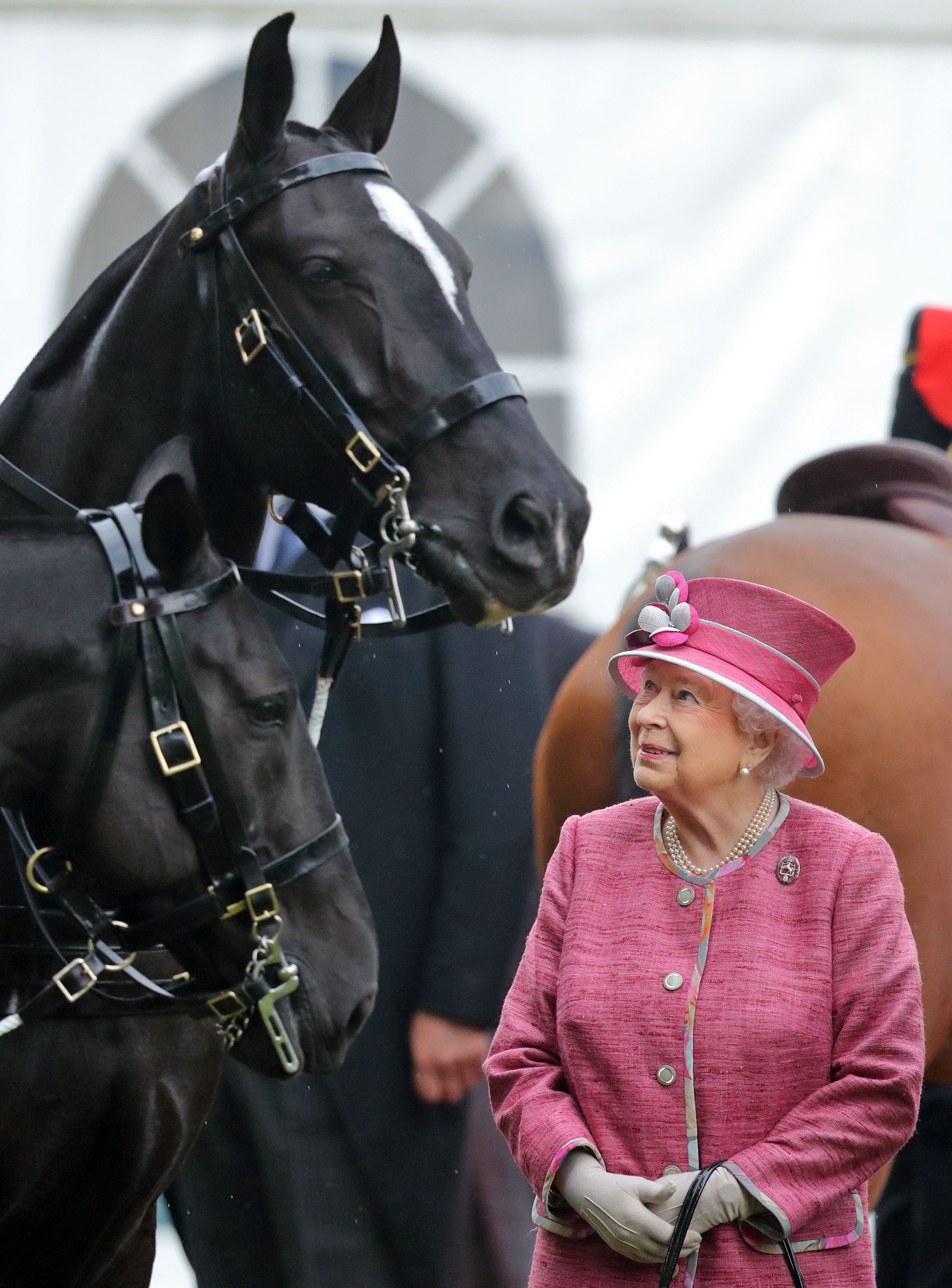 In Memory of Queen Elisabeth II | Hungarian Gallop Racehorse Breeders ...